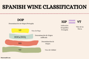 Comprehensive Guide to Spanish Wine Classification (2024)
