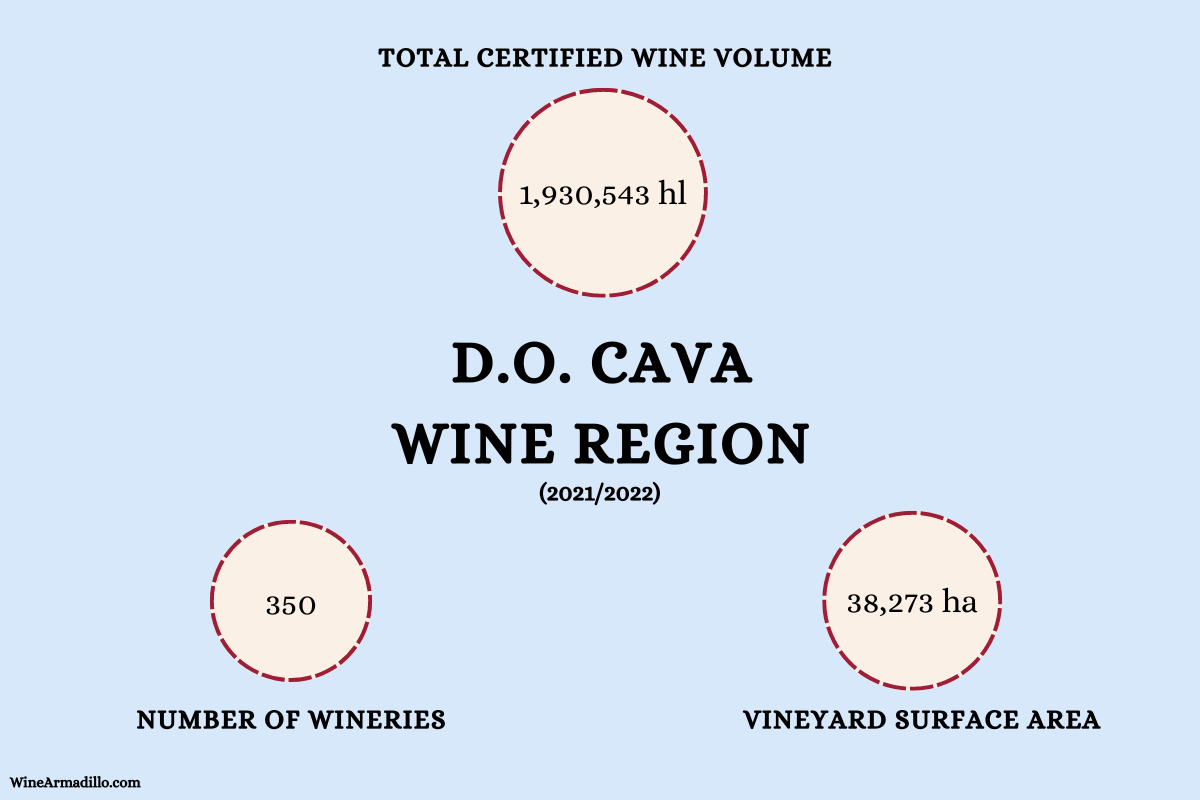Cava Wine Region - Enjoy Our 2024 Complete Guide